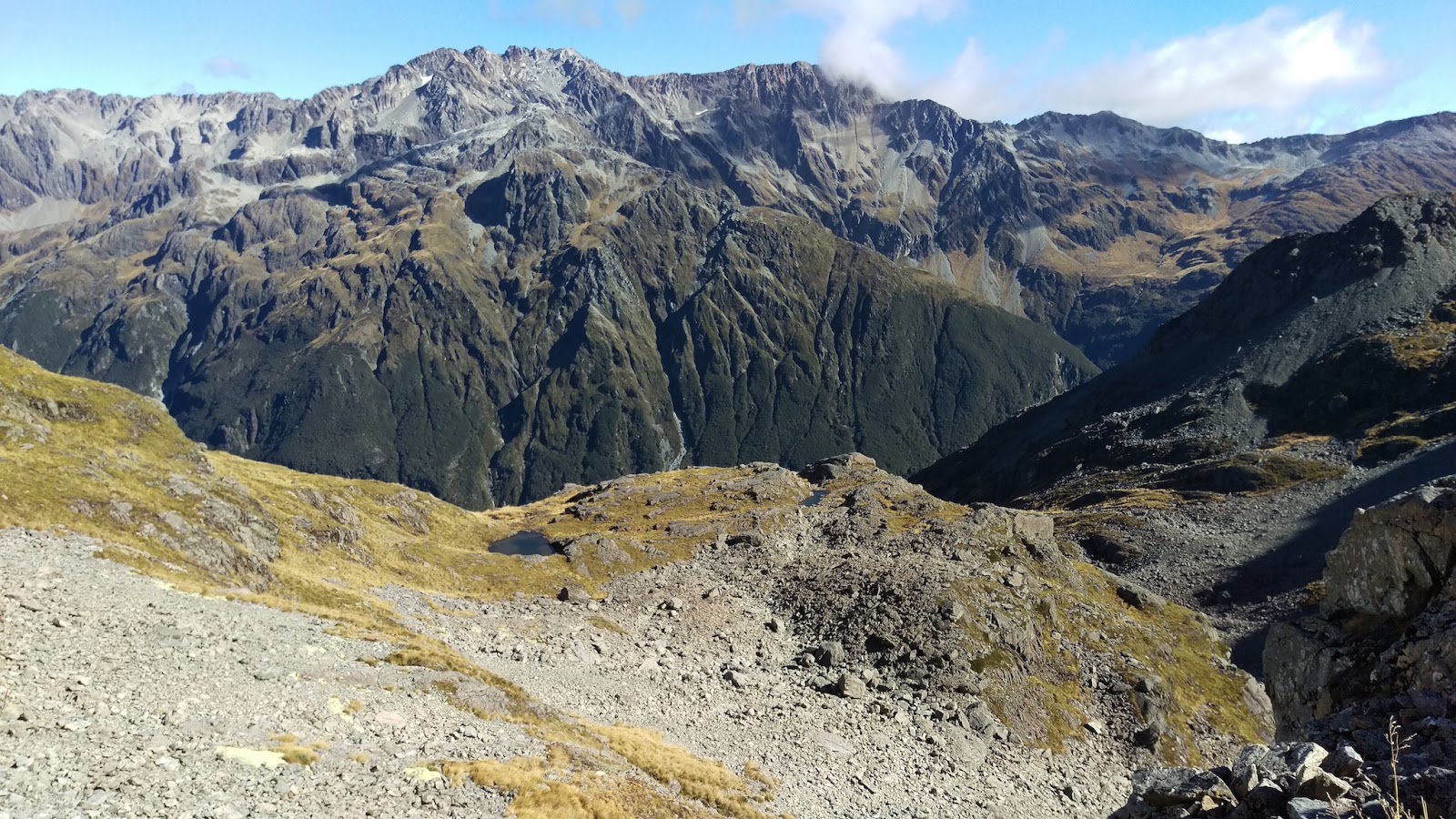 Tramping: D'Urville Moss Pass Sabine and some huts