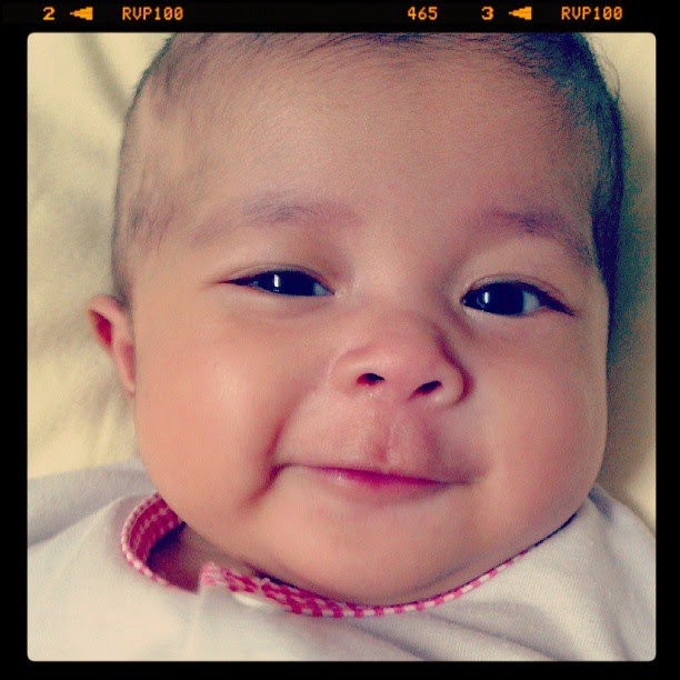 Lynkin Blog Viva Merah