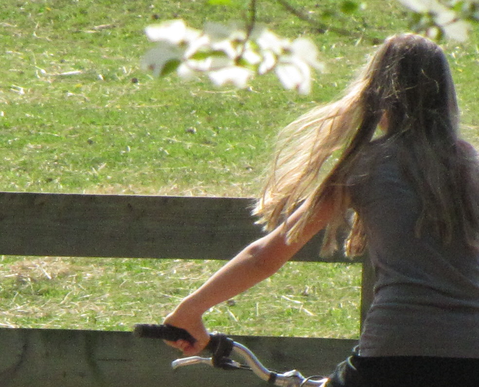 COMPOSE: Open and Closed