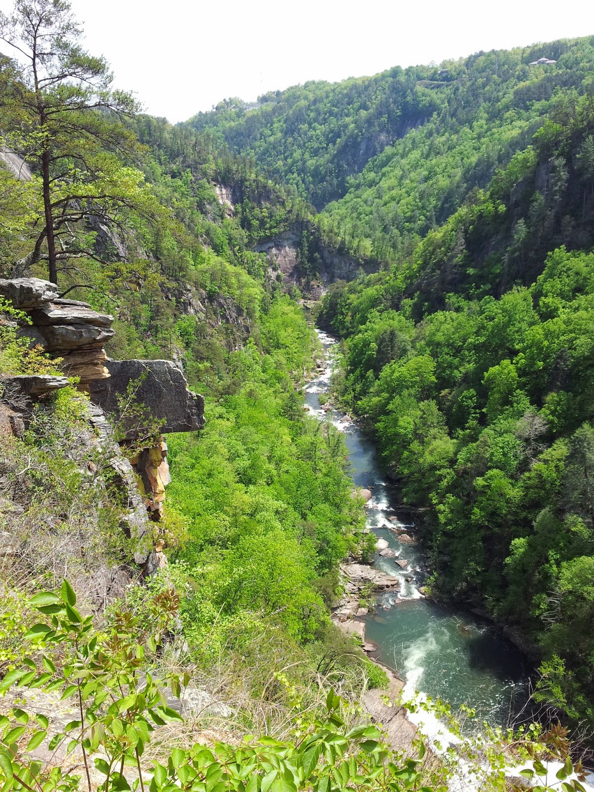 The Days of Johann, an agility dog!: Hiking Tallulah Gorge!