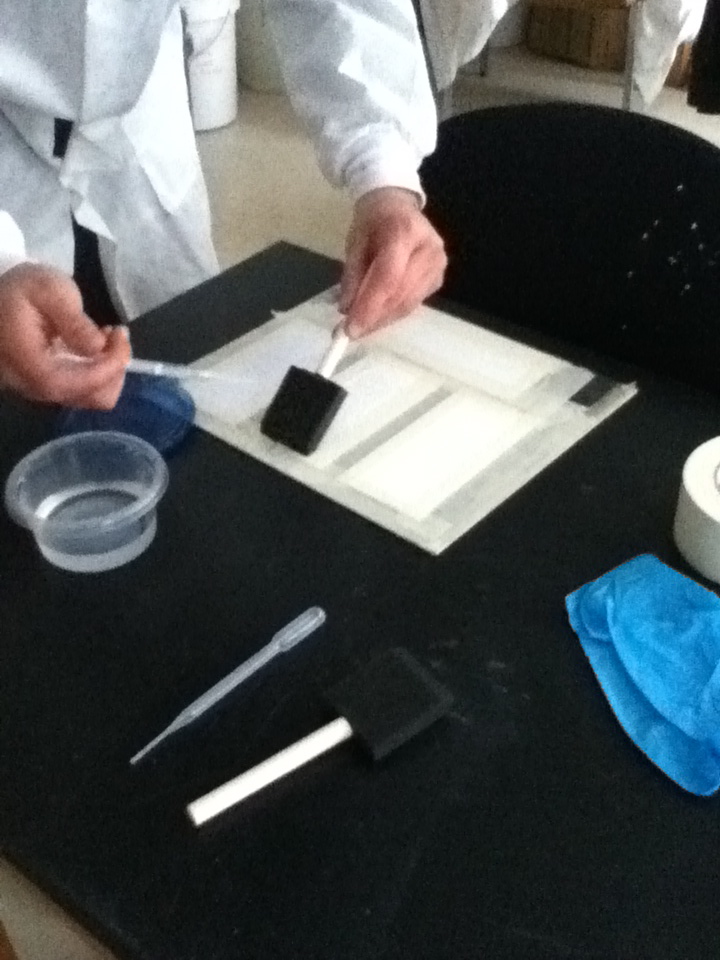 19th Century Photographic Processes: Photogenic Drawing - Process