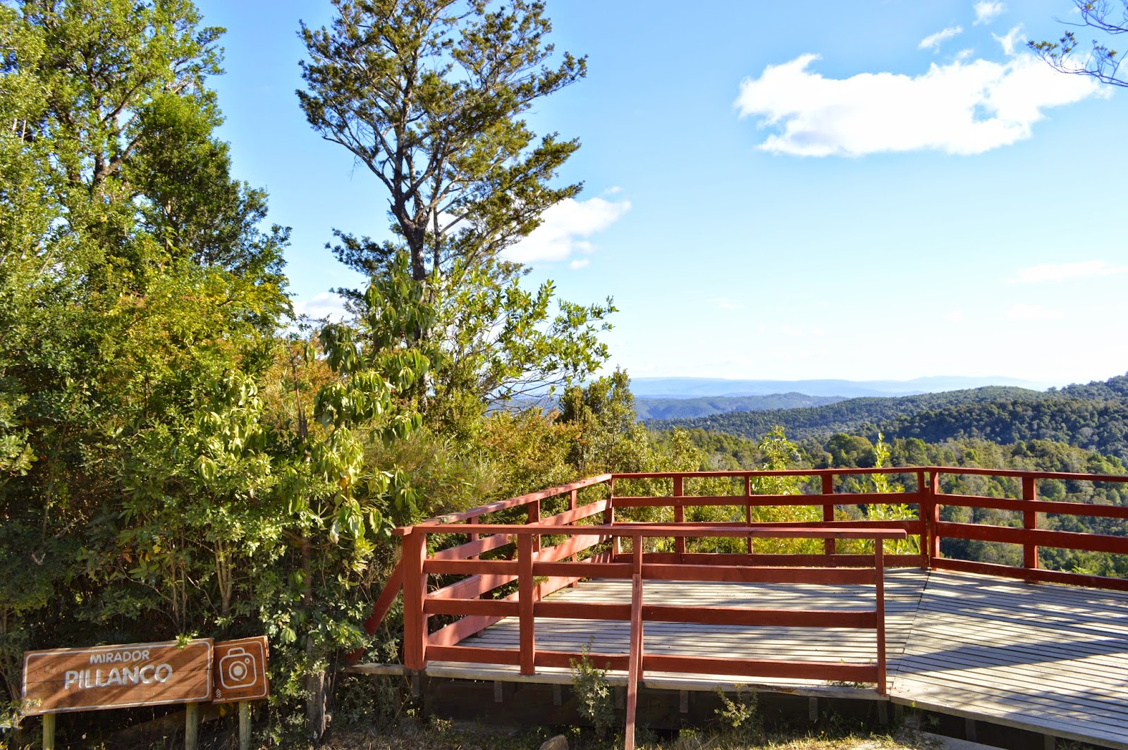 Blog de Viajes y Aventuras : El Parque Oncol en la Selva Valdiviana