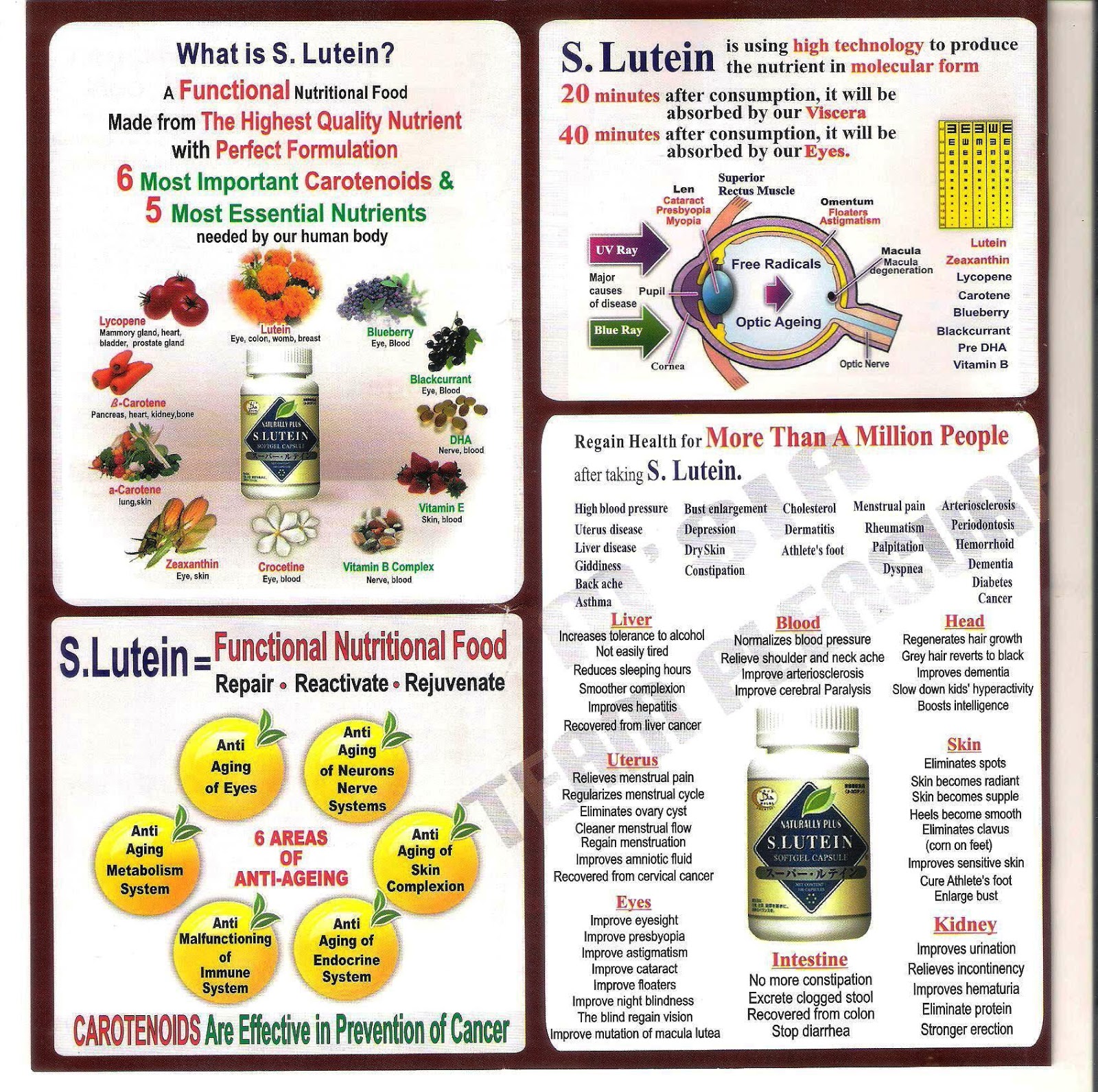 LET US ALL BE CONNECTED: SUPER LUTEIN - FUNCTIONAL NUTRITIONAL FOOD ...