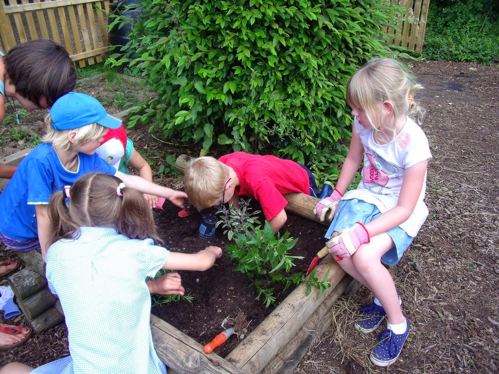 Upper Arley CofE Primary School Blog!: June 2014