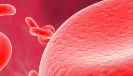 SÍNDROME ANÉMICO: GENERALIDADES DE LA ANEMIA.