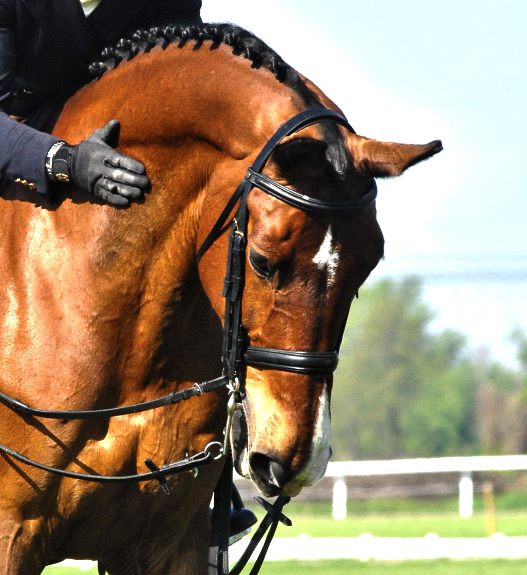 Portraits By Kim: Major Promise