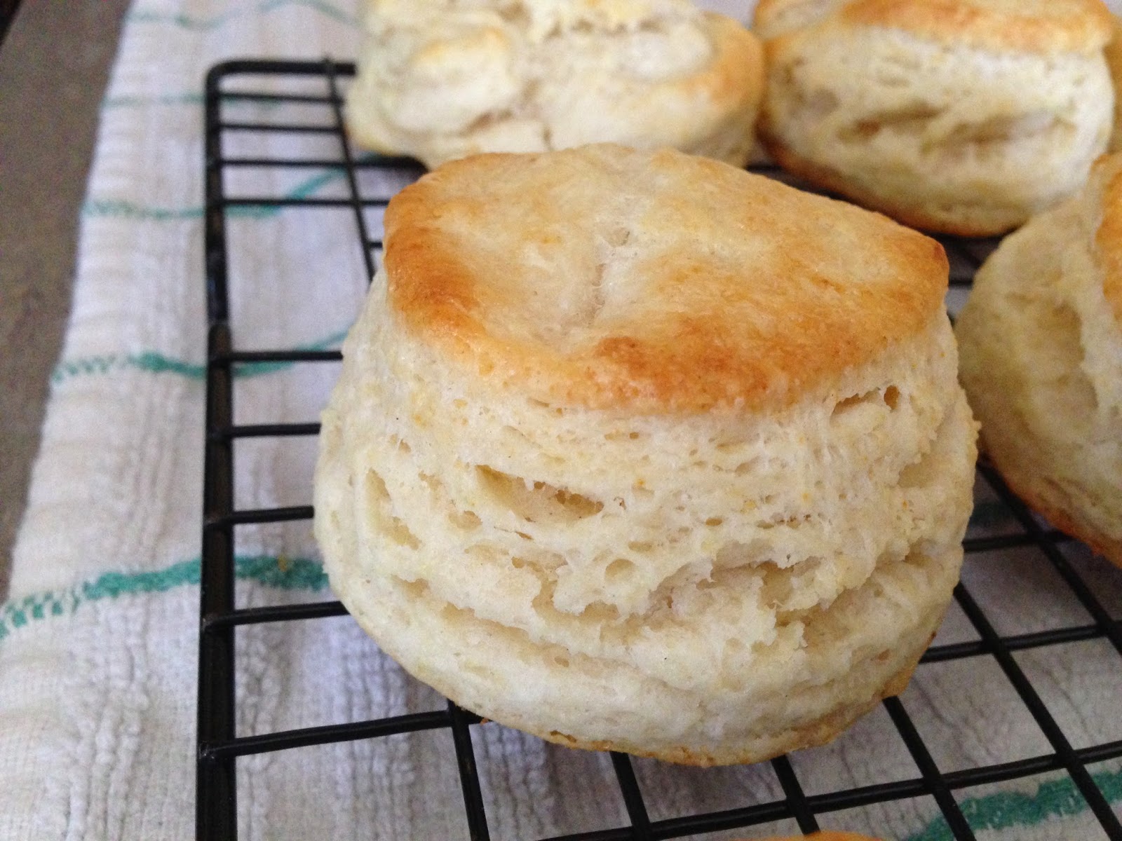 Clever Jenoe: Favorite Biscuits!