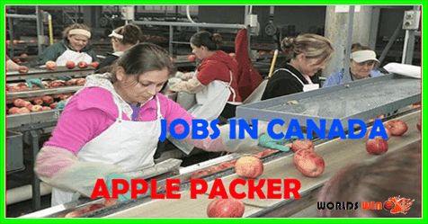 Apple Packer Vacancy in Canada | Apply Now