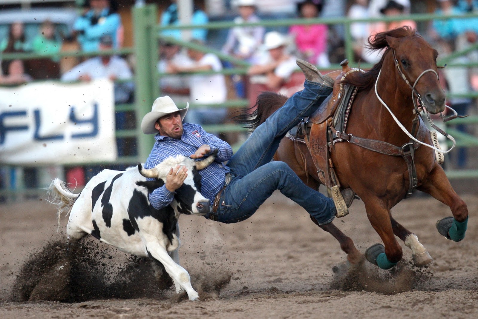 Benjamin Zack Photography: Ogden Pioneer Days Rodeo