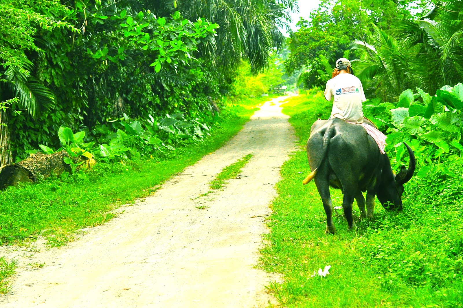 Norala, South Cotabato
