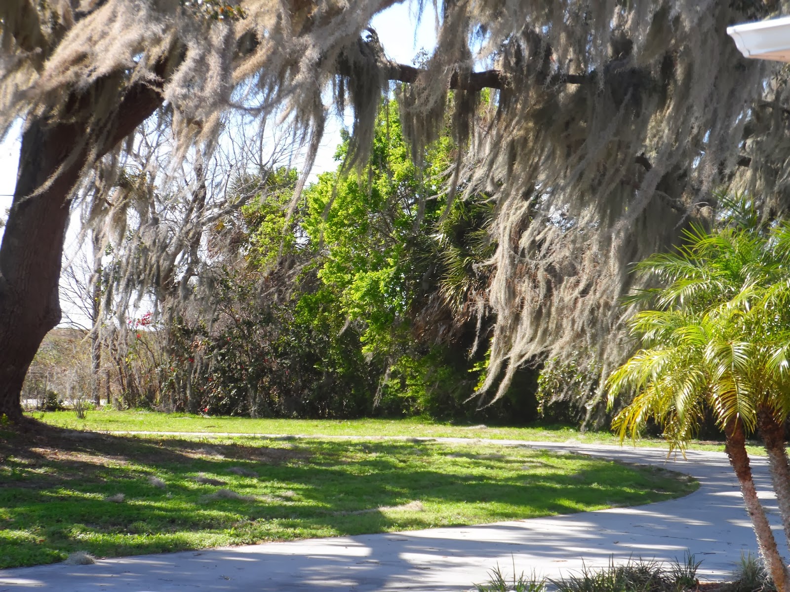 Cottage Creative Living by Egretta Wells: Spring-like Florida days and ...