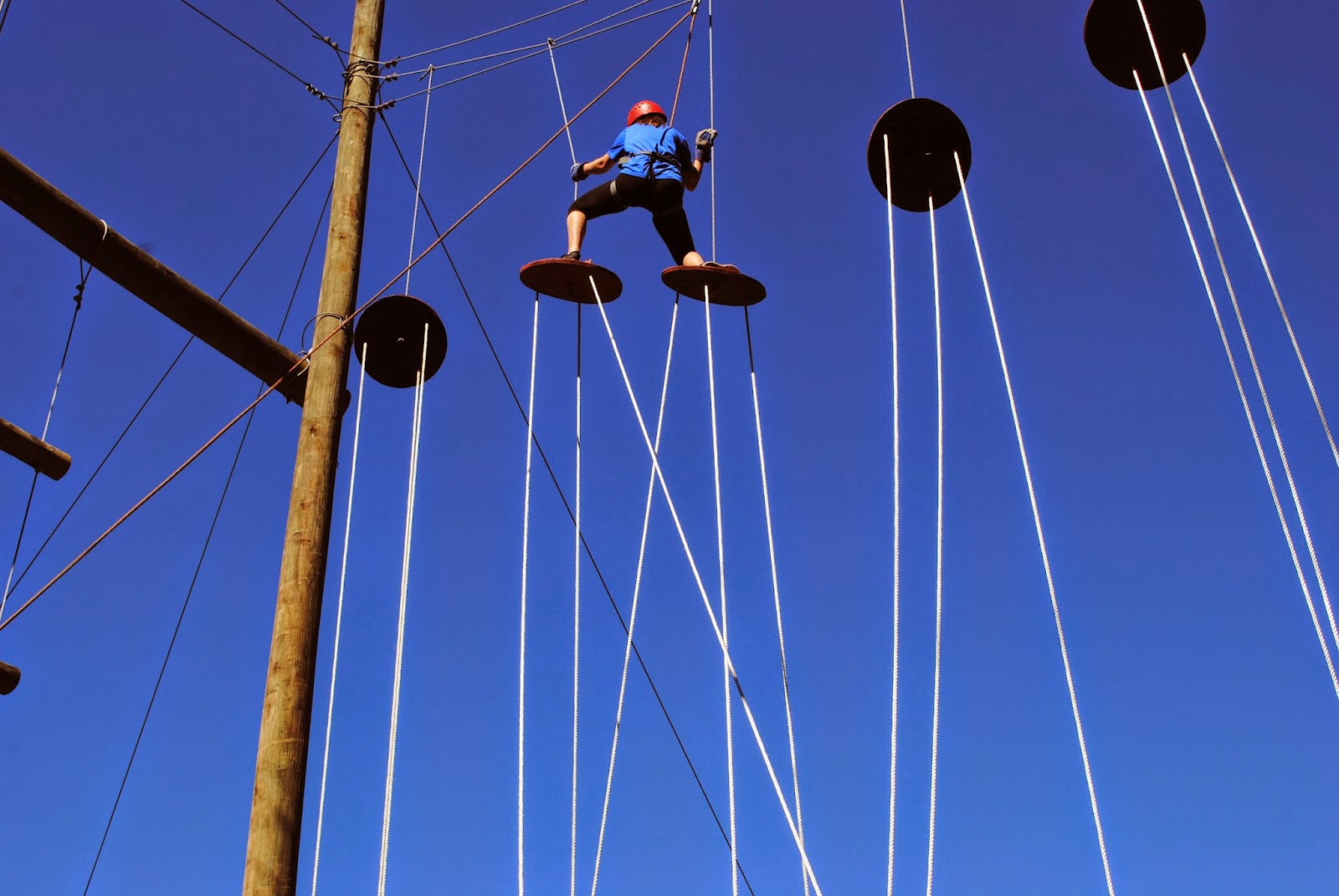 Bar-T Adventures: High Ropes Course