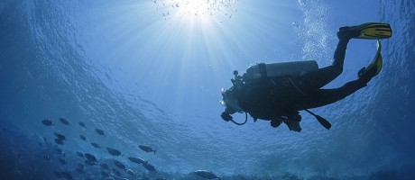 Helge Scherlund's eLearning News: Take a Dive: Deep Network Insights ...