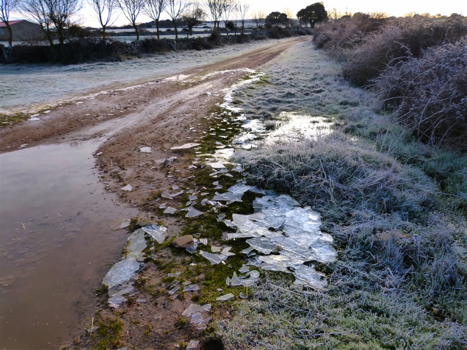 Carambano Significado