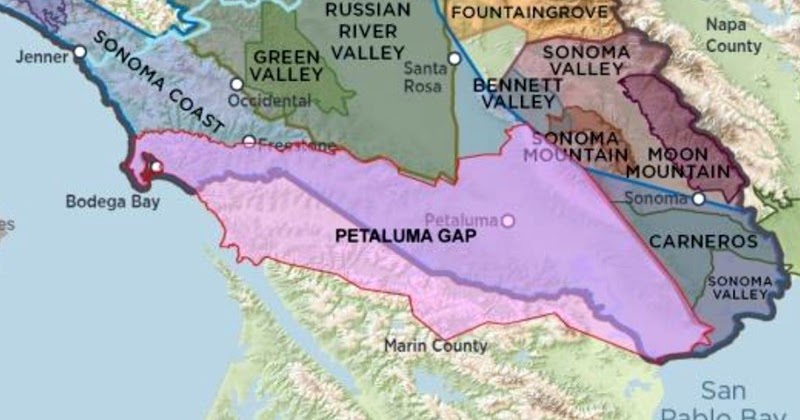 Bob on Sonoma: Petaluma Gap