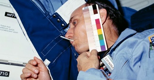 Blue Heron Blast: Spacesick