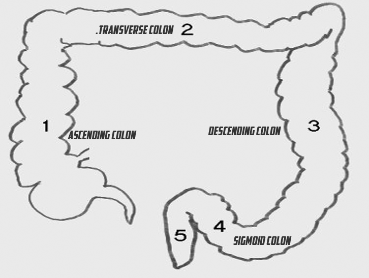 Symptoms, types and methods of treatment - Treatment of diseases ...