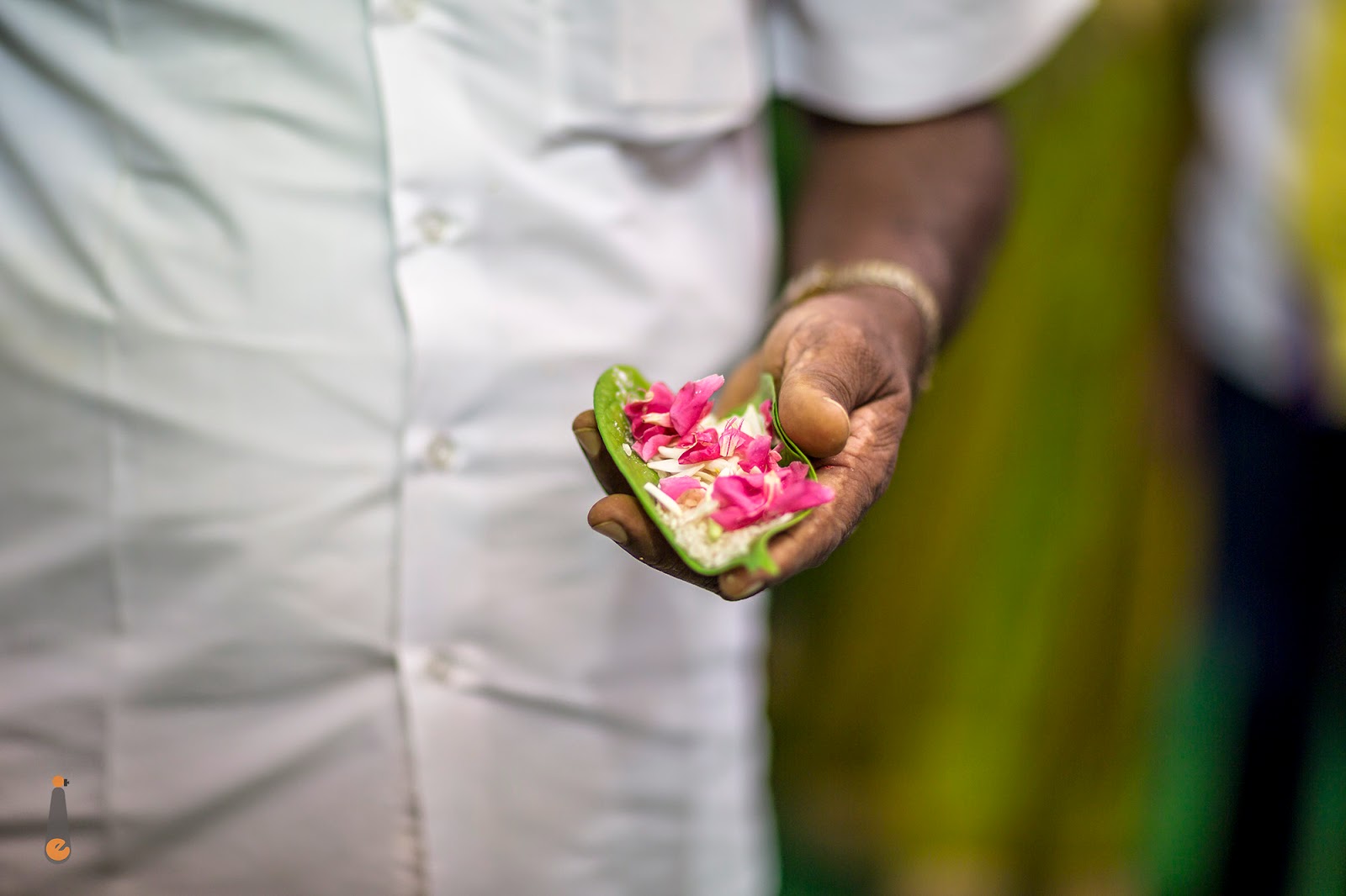 Vellala - JungleKey.in Image