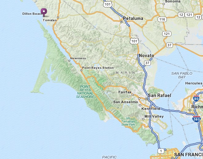 カリフォルニア マリン カウンティの暮らし: ディロンビーチ