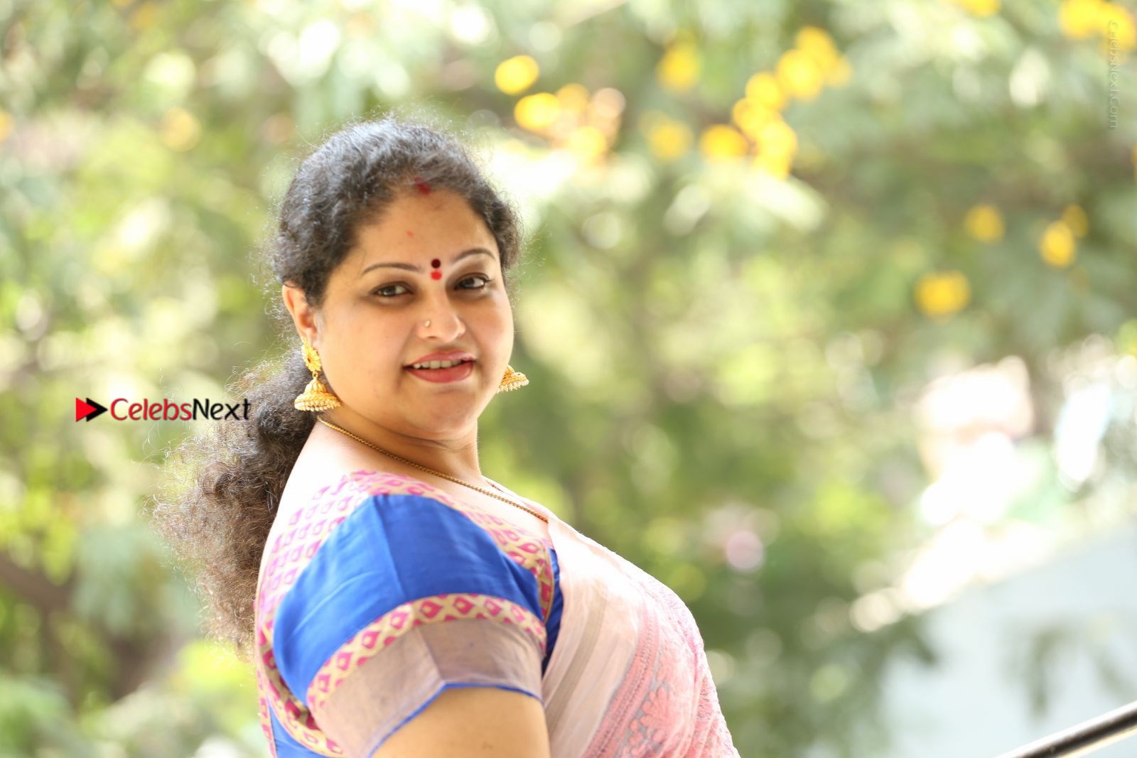 Actress Raasi In Saree