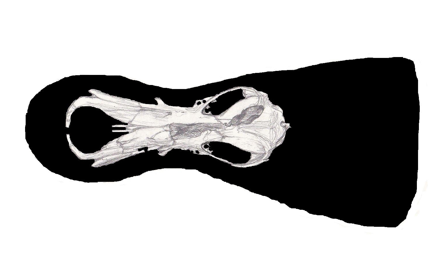 Indoor Nature: December 2012