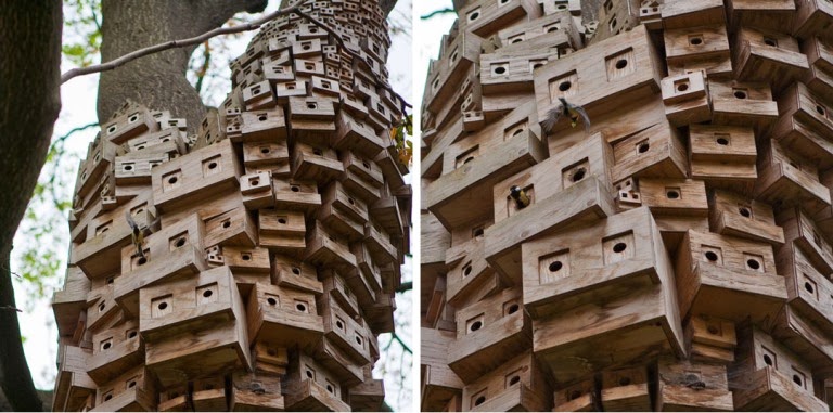 Ewa in the Garden: Bird Houses - Spontaneous City