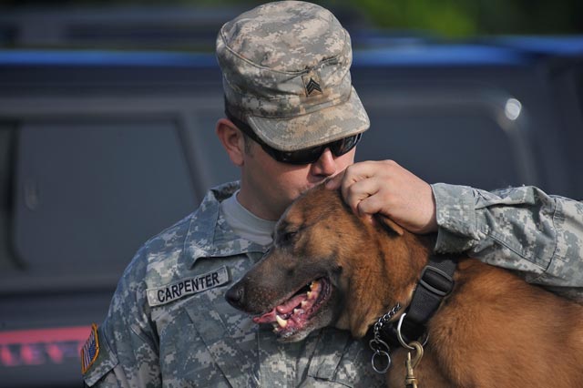 Do Dogs Love People More Than They Love Other Dogs Pets Cute And Docile do-dogs-love-people-more-than-they-love-other-dogs-pets-cute-and-docile