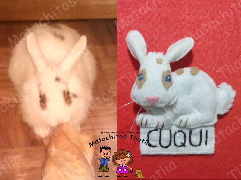 Matachitos Tliatlia, Broches en Fieltro y Costura Creativa.: Encargo de ...