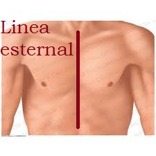 Semiología Quirúrgica Dra. Leroux R.: Examen de Tórax