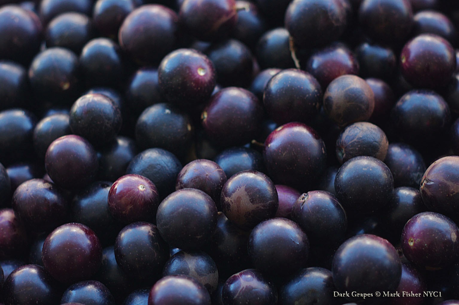 Mark Fisher American Photographer™: Dark Grapes • American Photographer ...
