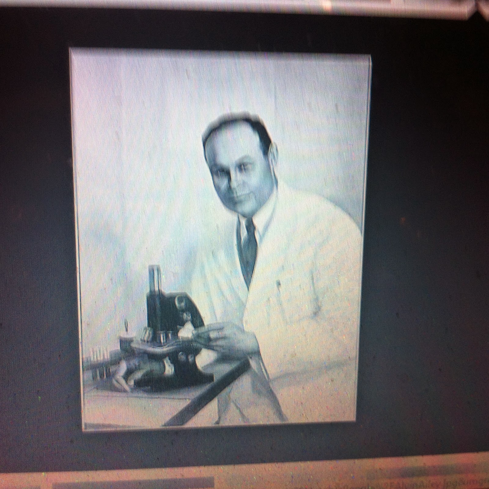 THE BLACK SOCIAL HISTORY:: BLACK SOCIAL HISTORY : AFRICAN AMERICAN ...