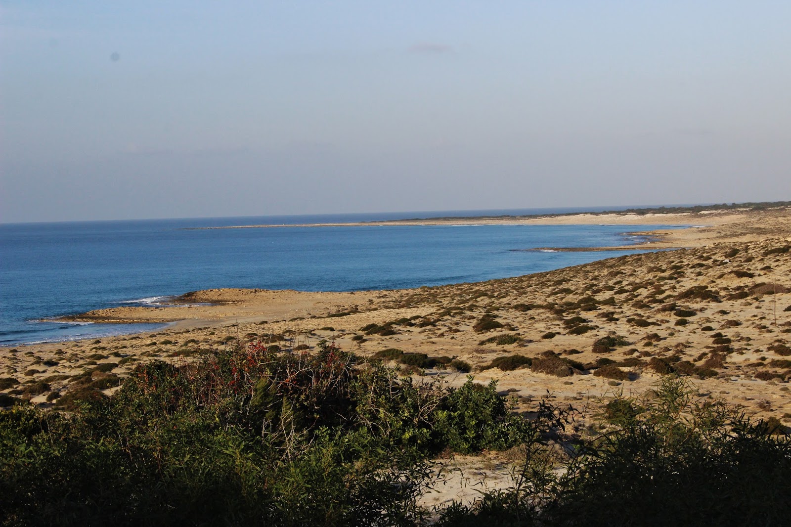 Biodiversity of Cyprus by NGO Protection of the Natural Heritage and ...