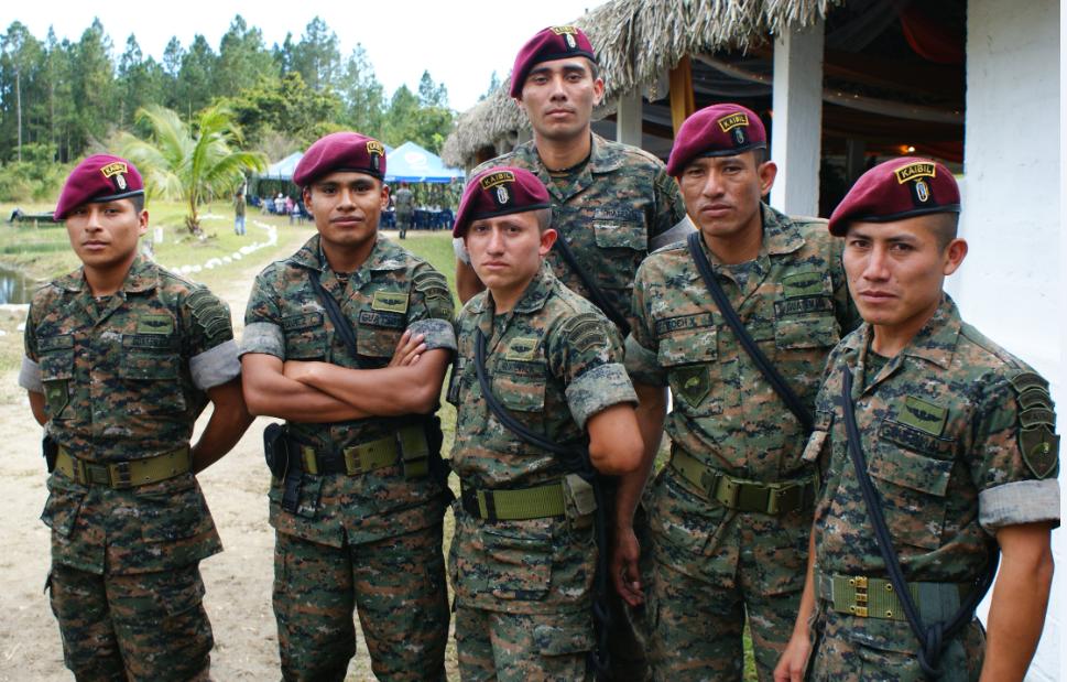 Perspectiva Militar: 2011