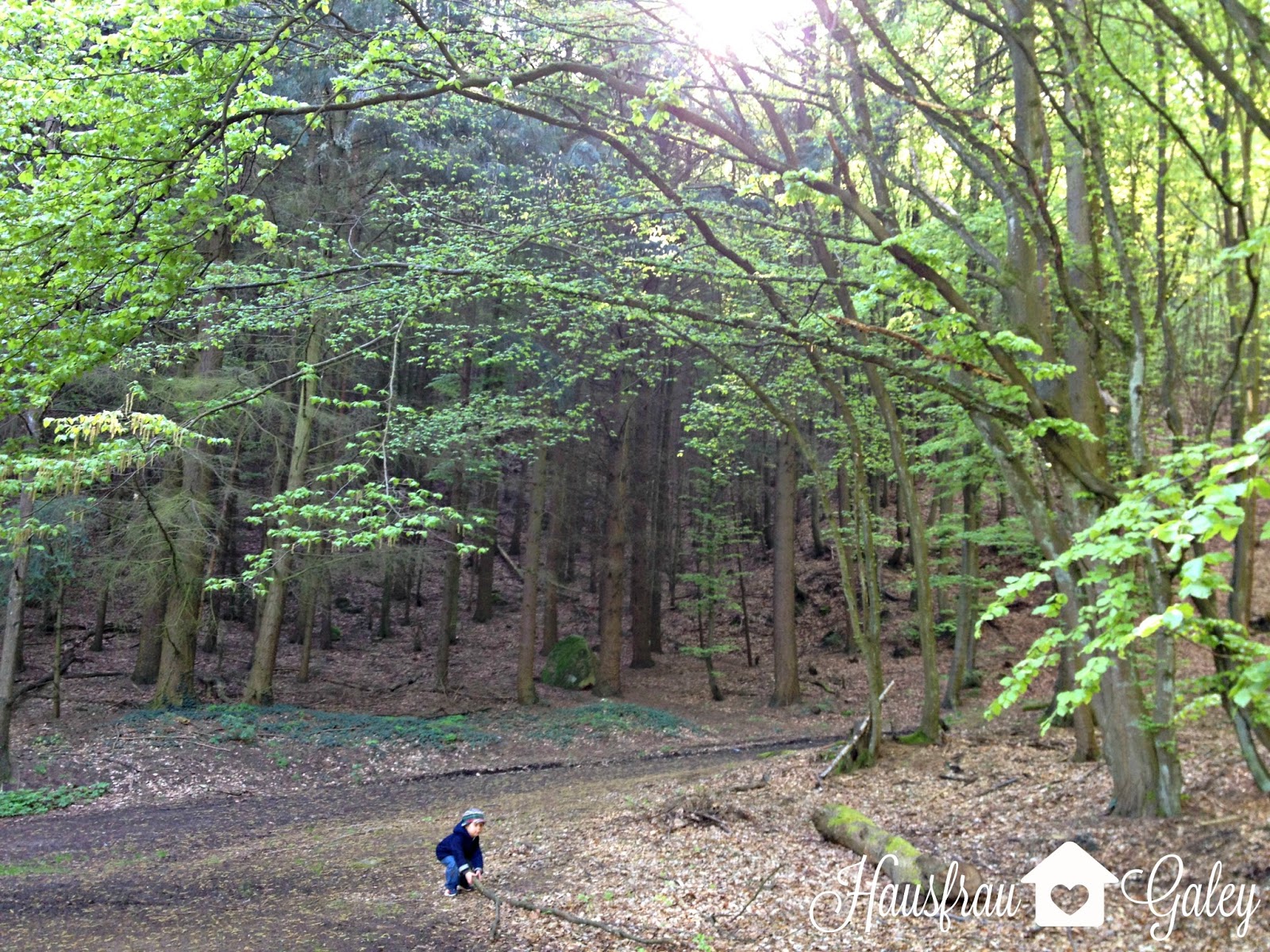 .: Bärenloch (Kindsbach Park)