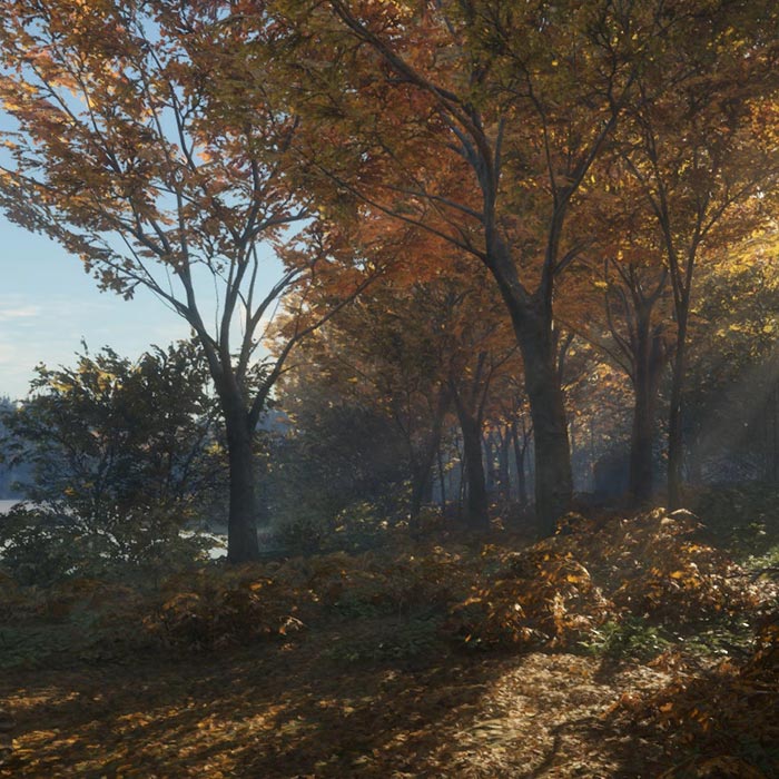 Early Morning Forest 1 Wallpaper Engine