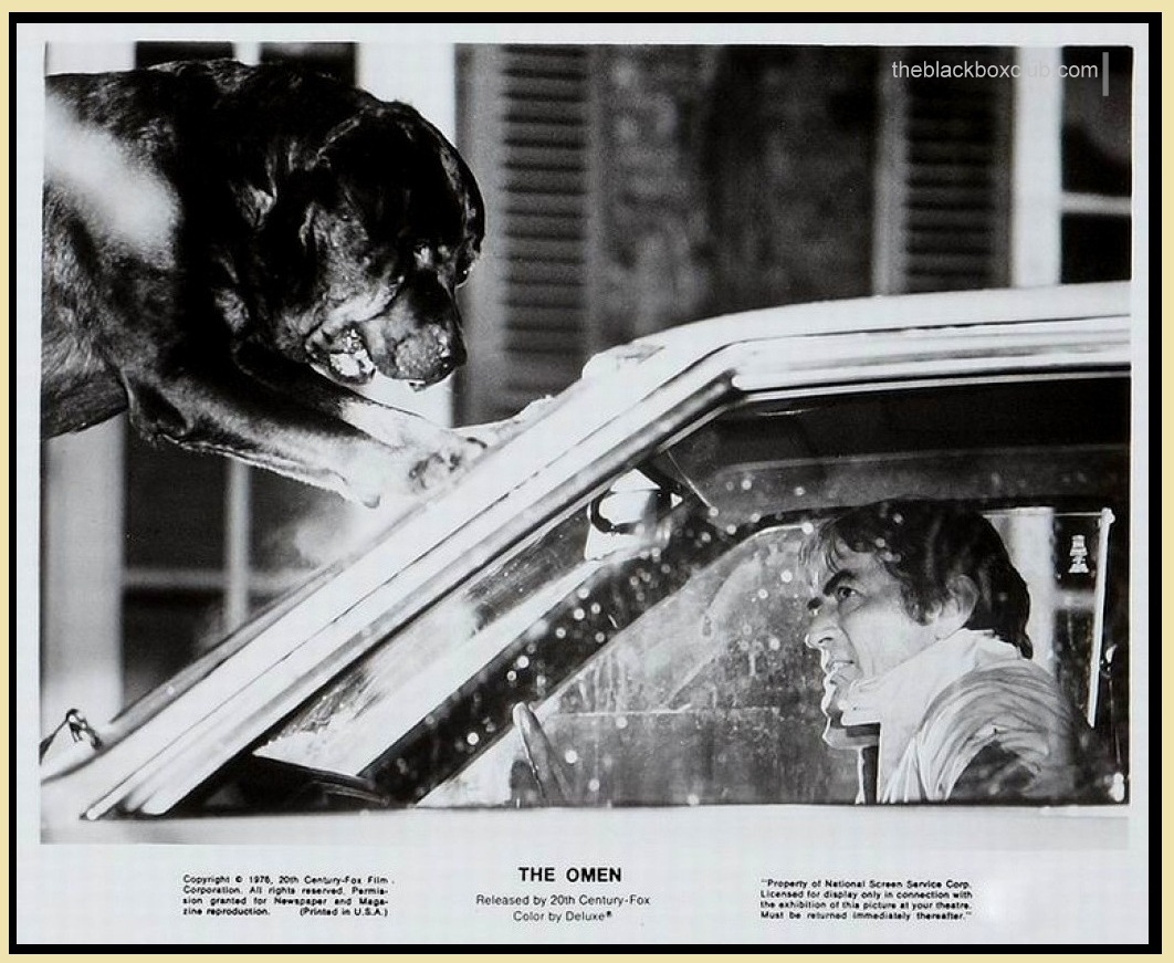 The Omen 1976 Dog