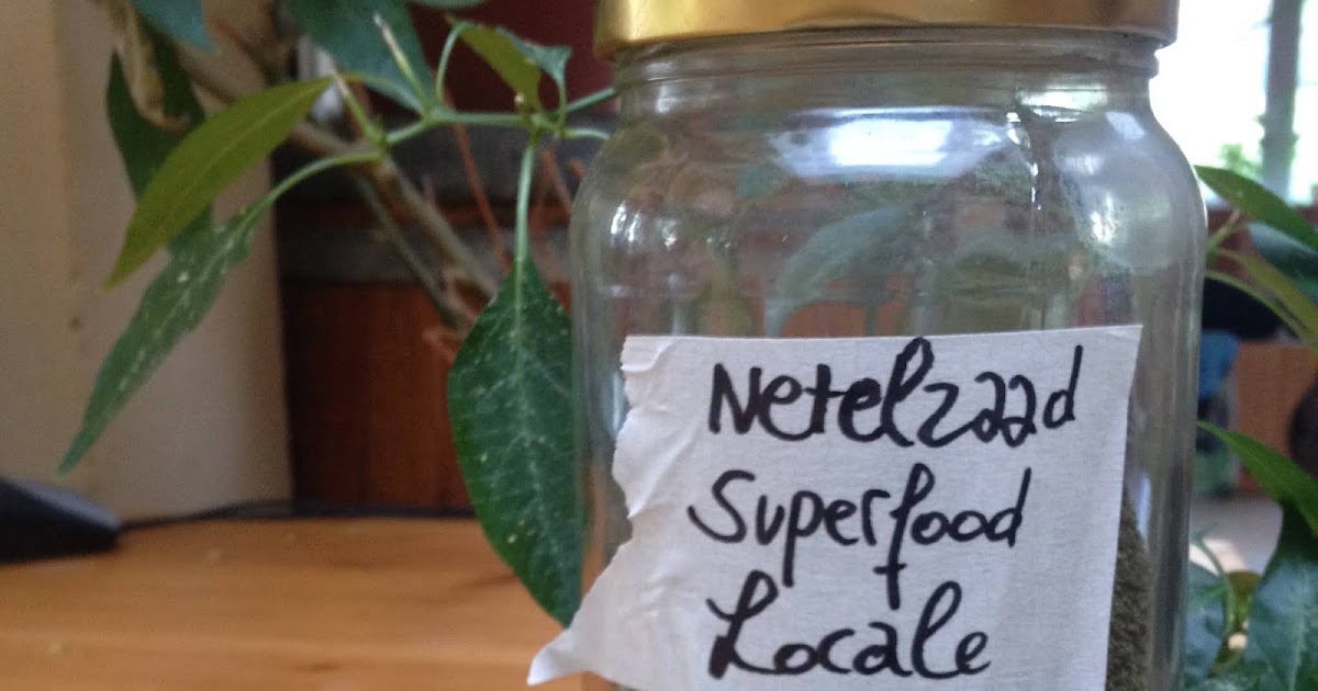 DE ZELFVOORZIENINGSBIJBEL: Netelzaad: hoe verzamelen, gebruiken en ...