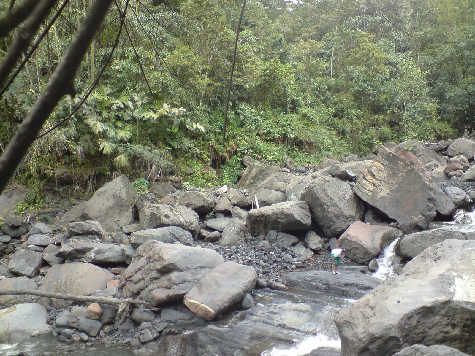 PRESERVACION DEL MEDIO AMBIENTE: PRESERVACION