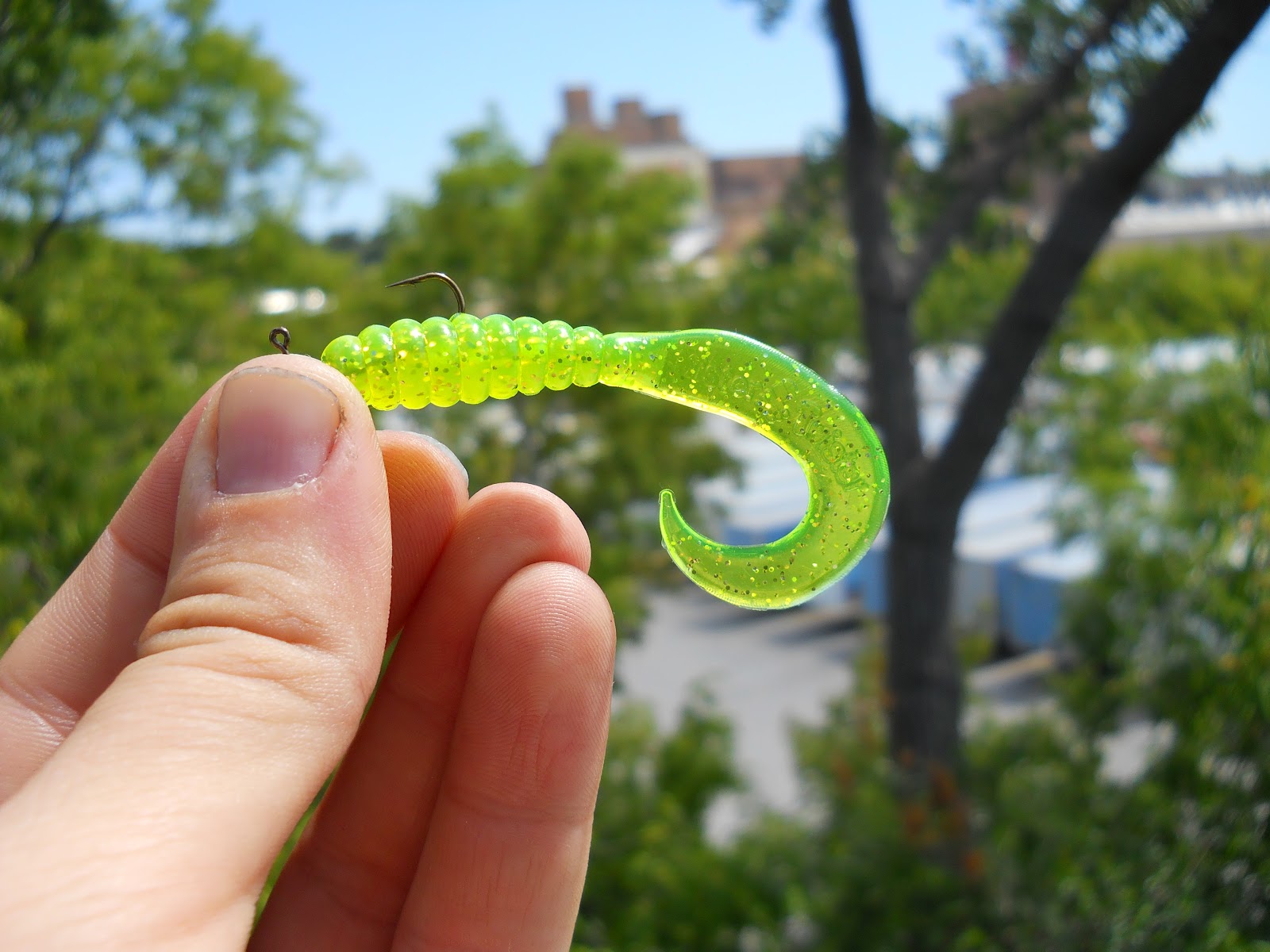 What the Karp!?!: The Straight Talk on Curly Tail Grubs