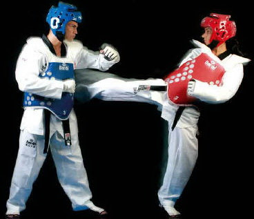 taekwondo greece CLUBS: Το ηλεκτρονικό σύστημα προστασίας και ...