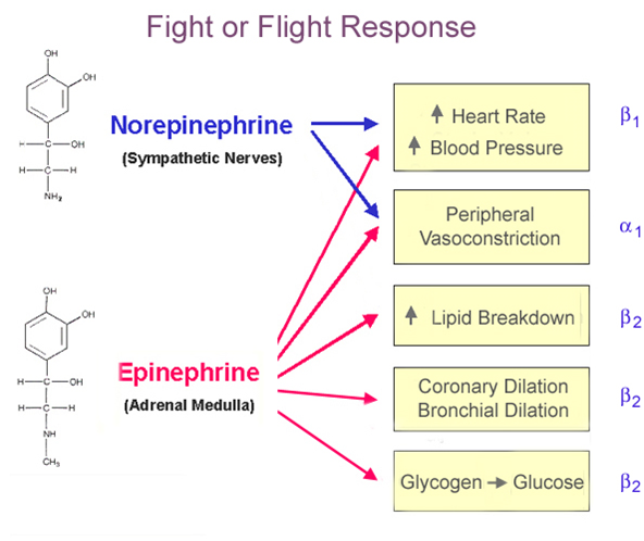 Maret 2013 | gudang ilmu gratis