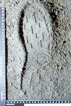 Forensics Study and Analysis: Footprint Analysis and Lipstick Activity