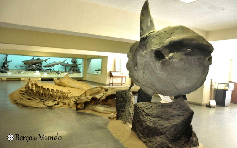 Cinco museus para visitar em Luanda - O Berço do Mundo