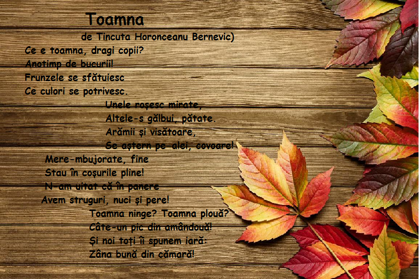 CLASA NOASTRĂ: TOAMNA