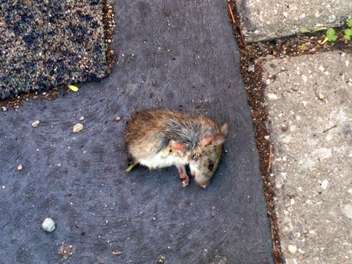 Dating A Hunchback: April 2014