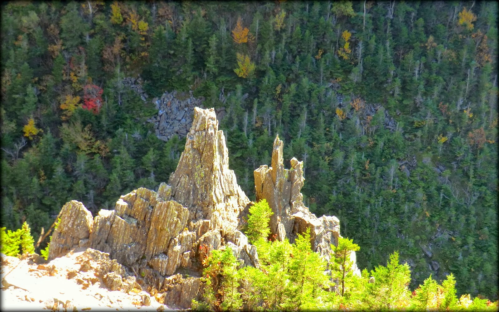 1HappyHiker: A Short Loop Hike in Dixville Notch