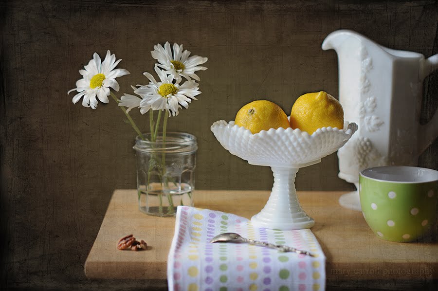 Little Red House: Photographic Still Life