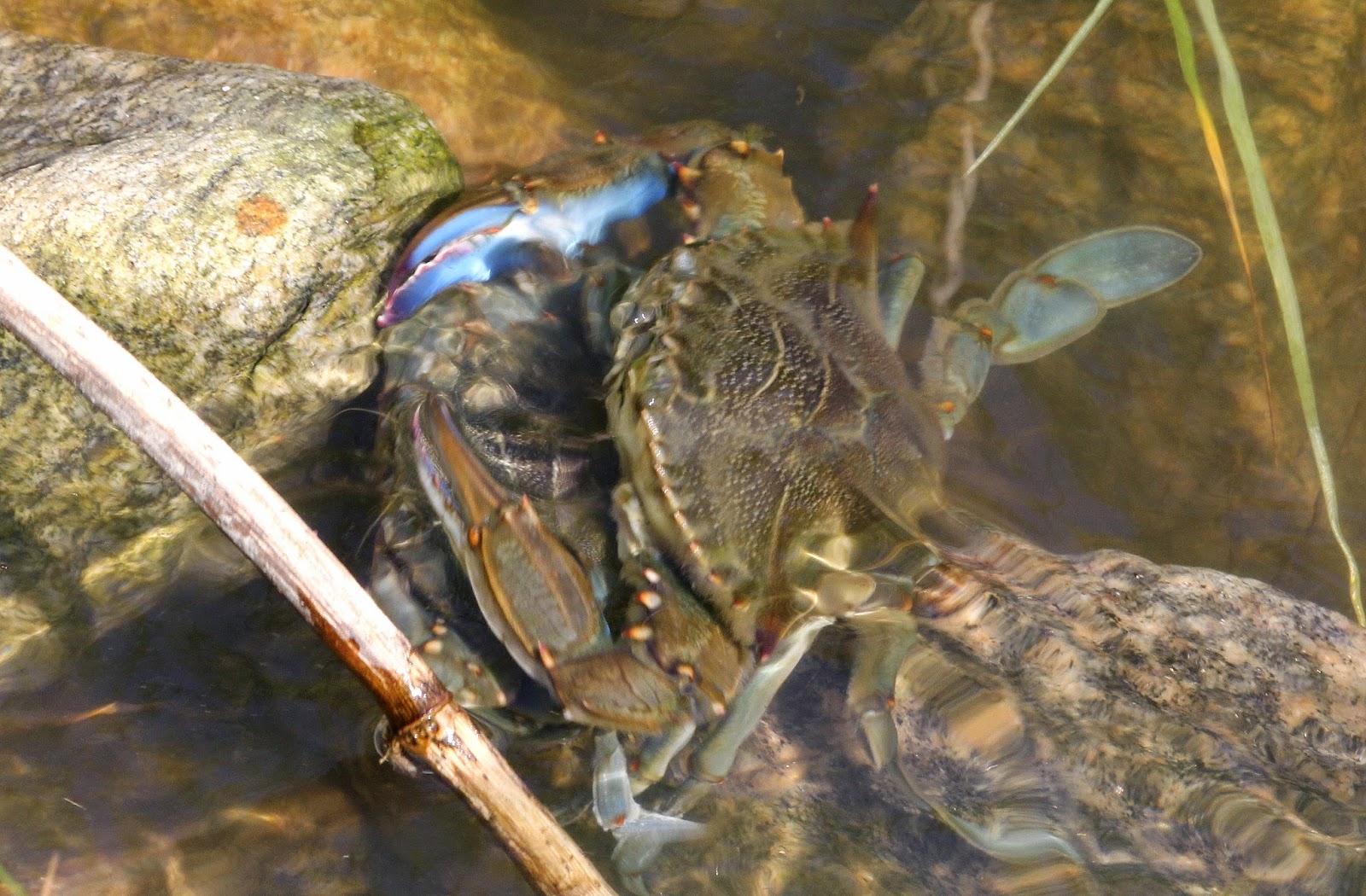Looking Out from Central Massachusetts