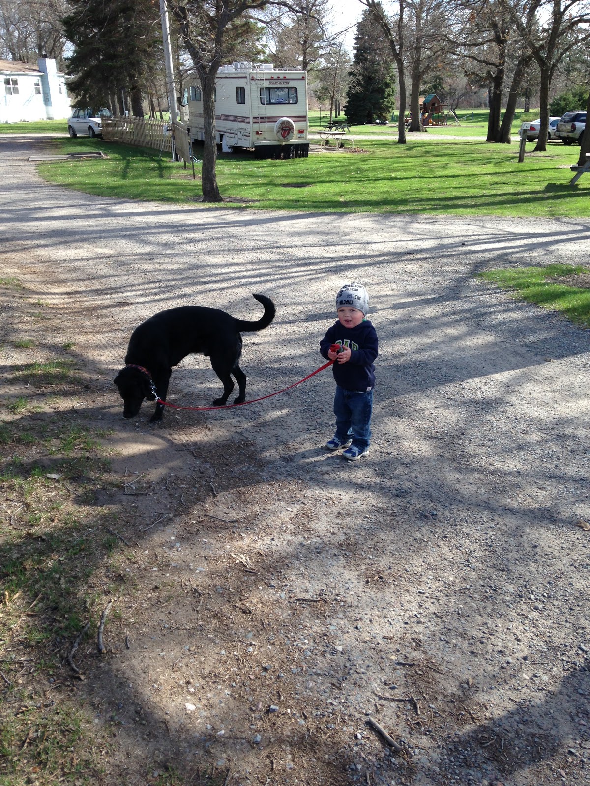 McNeilly Family Blog: A Boy and his Dog