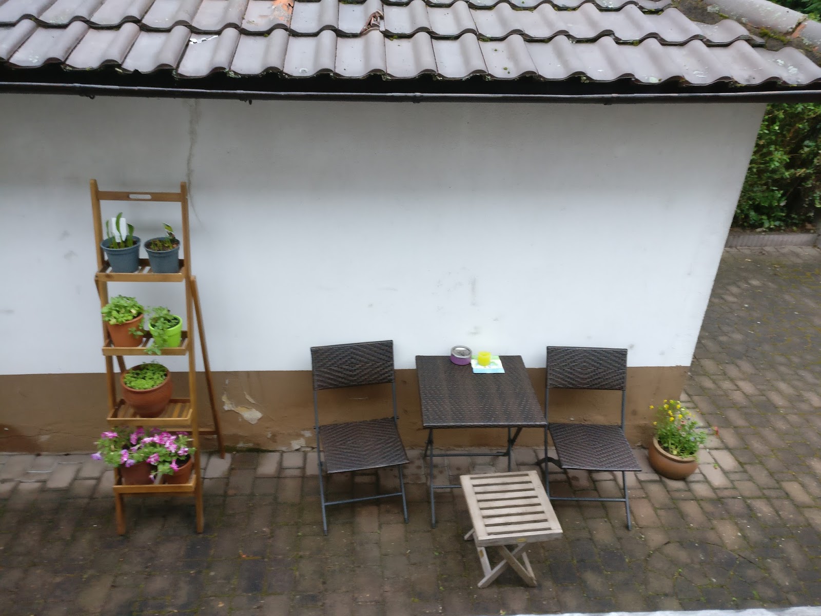 Lady Crooks sophisticated